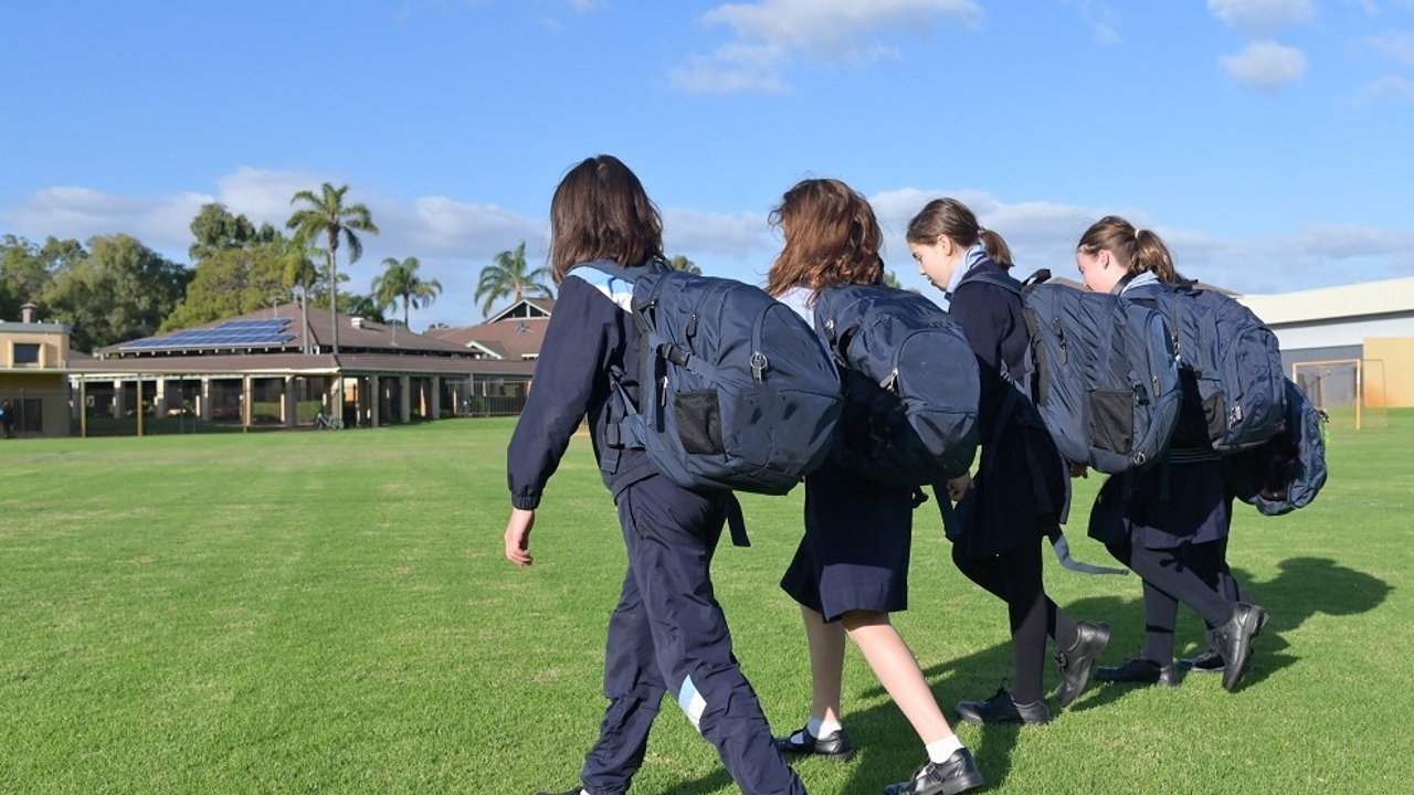 Who Invented School? A Deep Dive into Education History