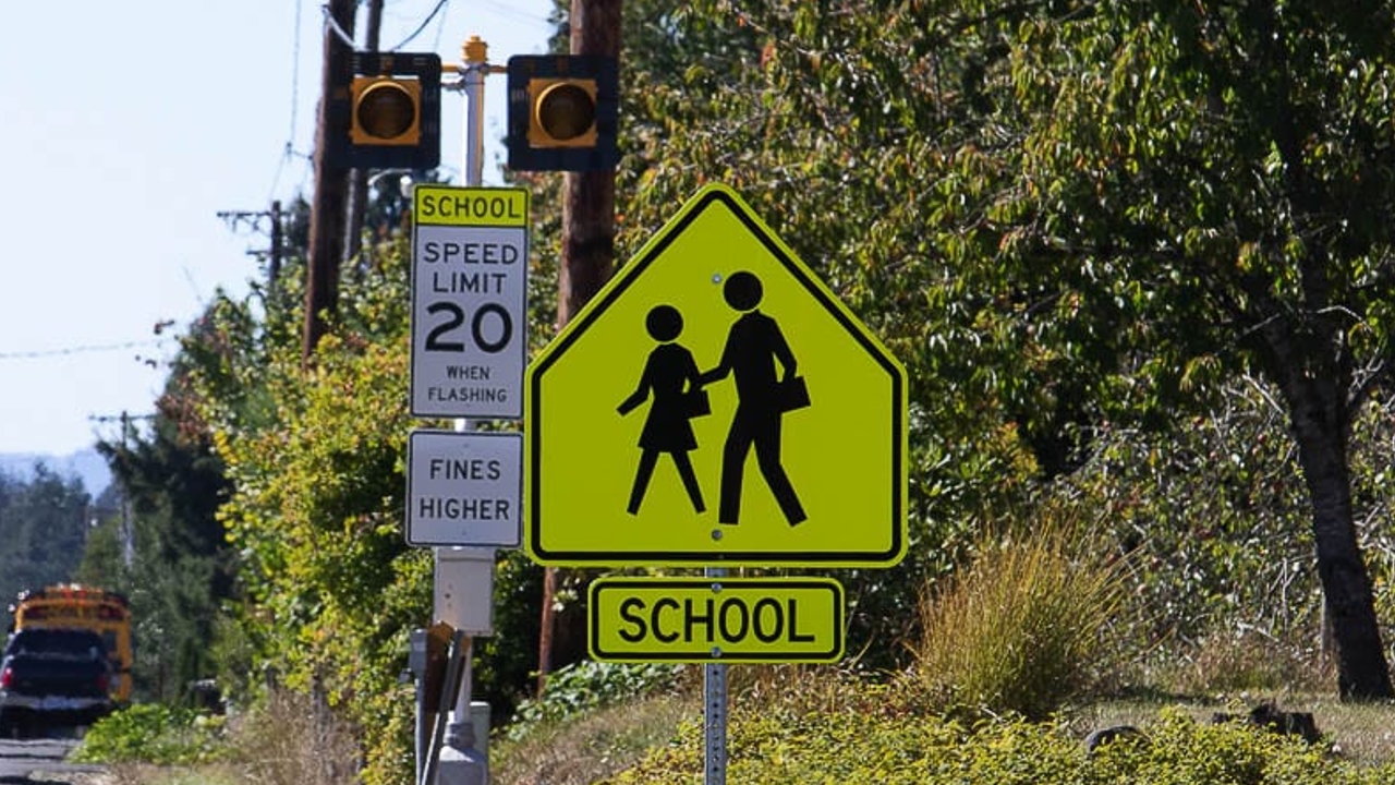 Who Invented School? A Deep Dive into Education History